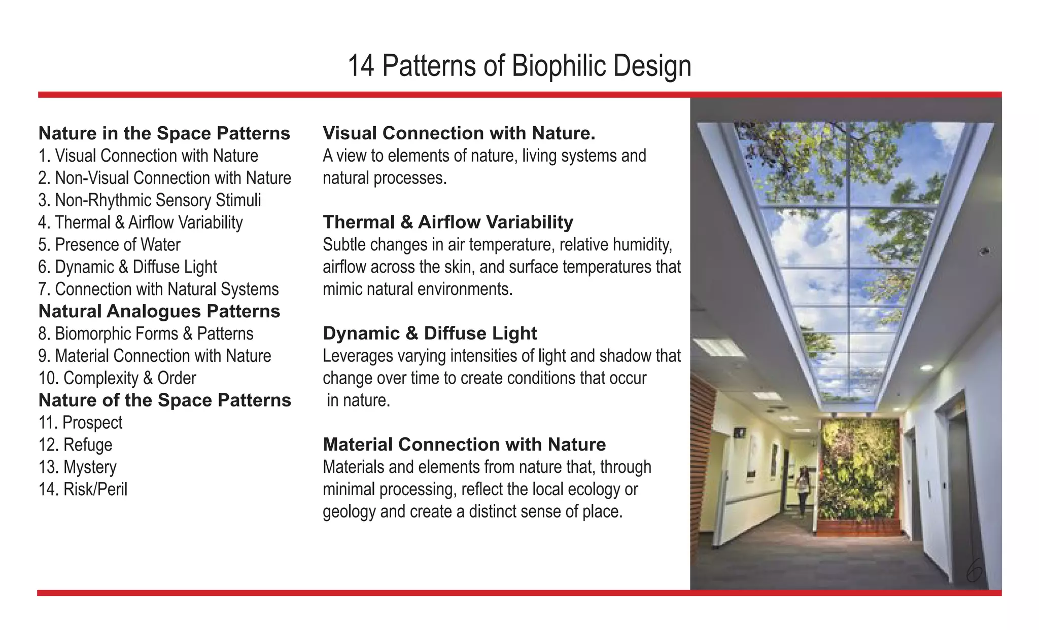 THESIS PRESENTATION_BIOPHILIC DESIGN | PDF