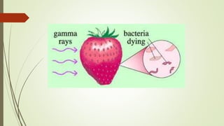 HYPOBARIC STORAGE AND IRRADIATION IN FRUITS AND VEGETABLES | PPTX