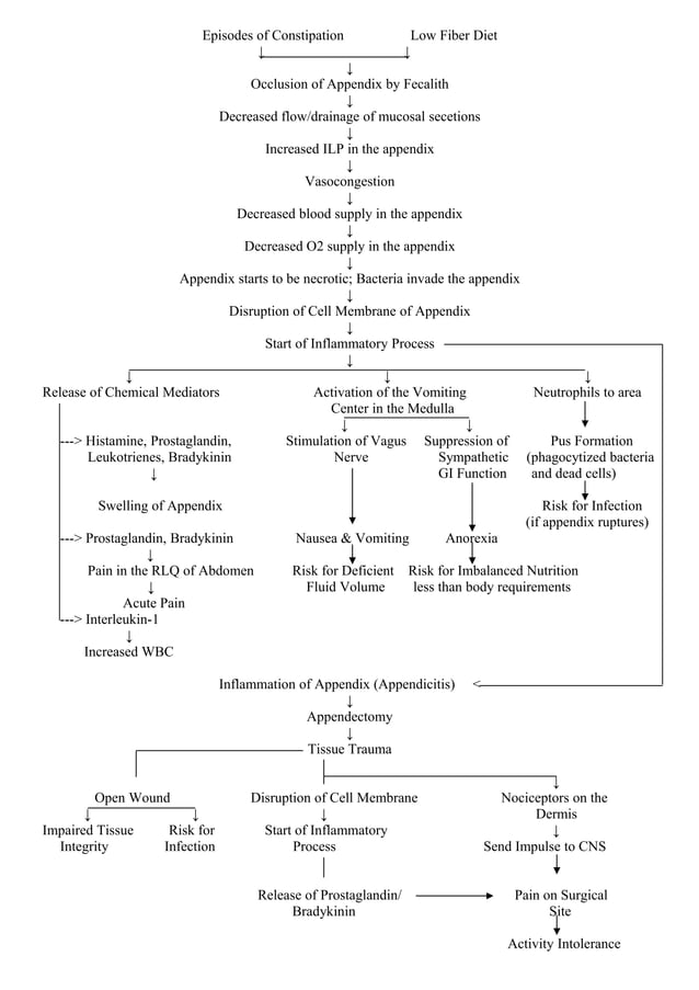 pathophysiology-of-appendicitis | DOC