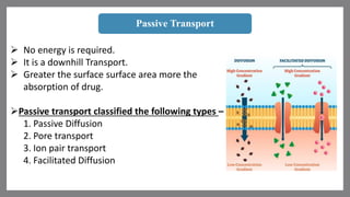 Drug Absorption Biopharmaceutics | PPT