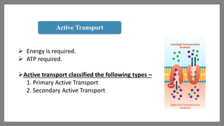 Drug Absorption Biopharmaceutics | PDF