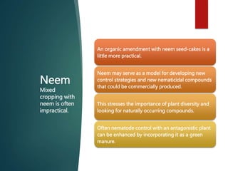 Antagonistic Plants for Nematode Management | PPTX