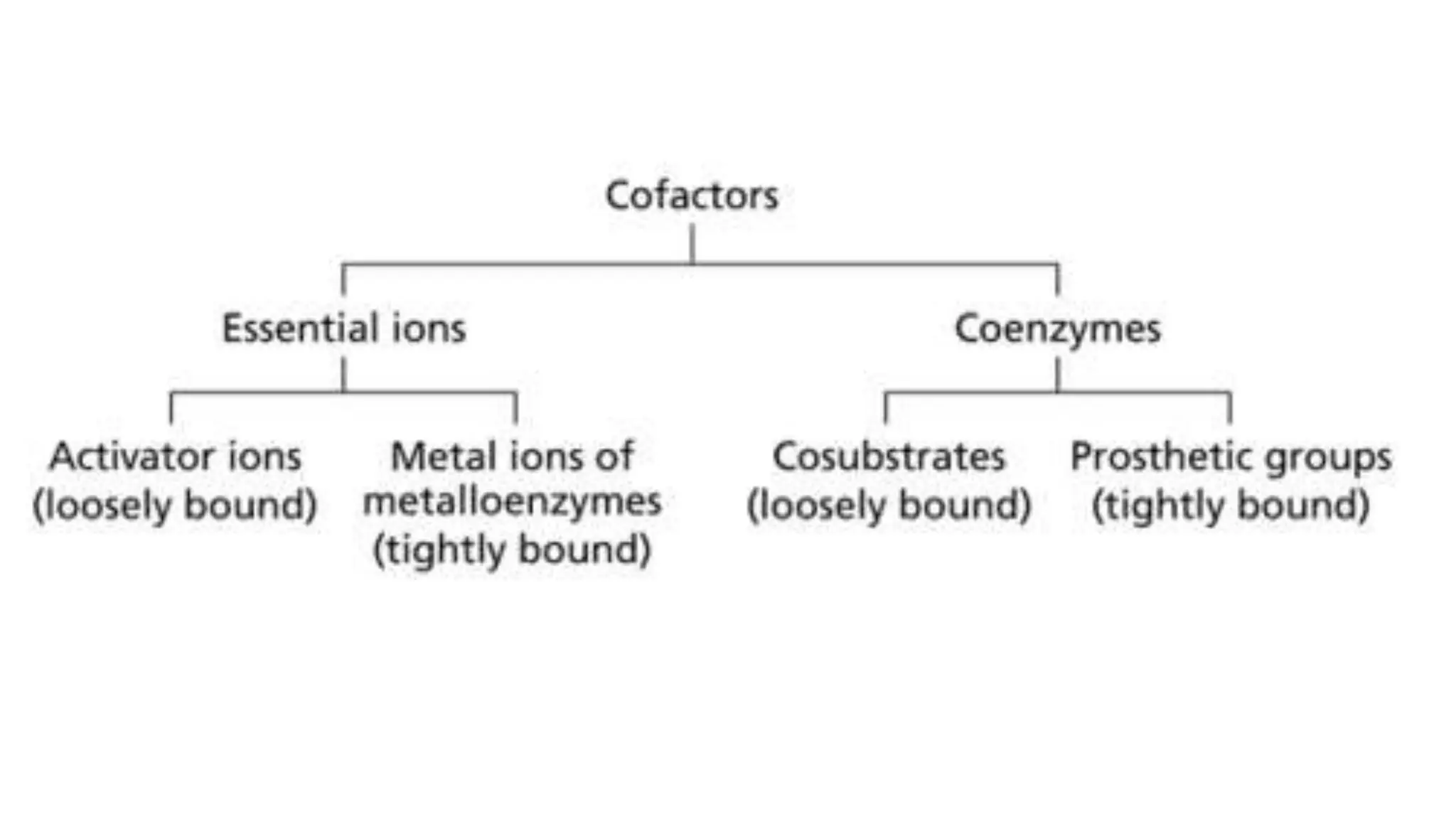 Different types of enzymes and its role and impact | PPT | Free Download