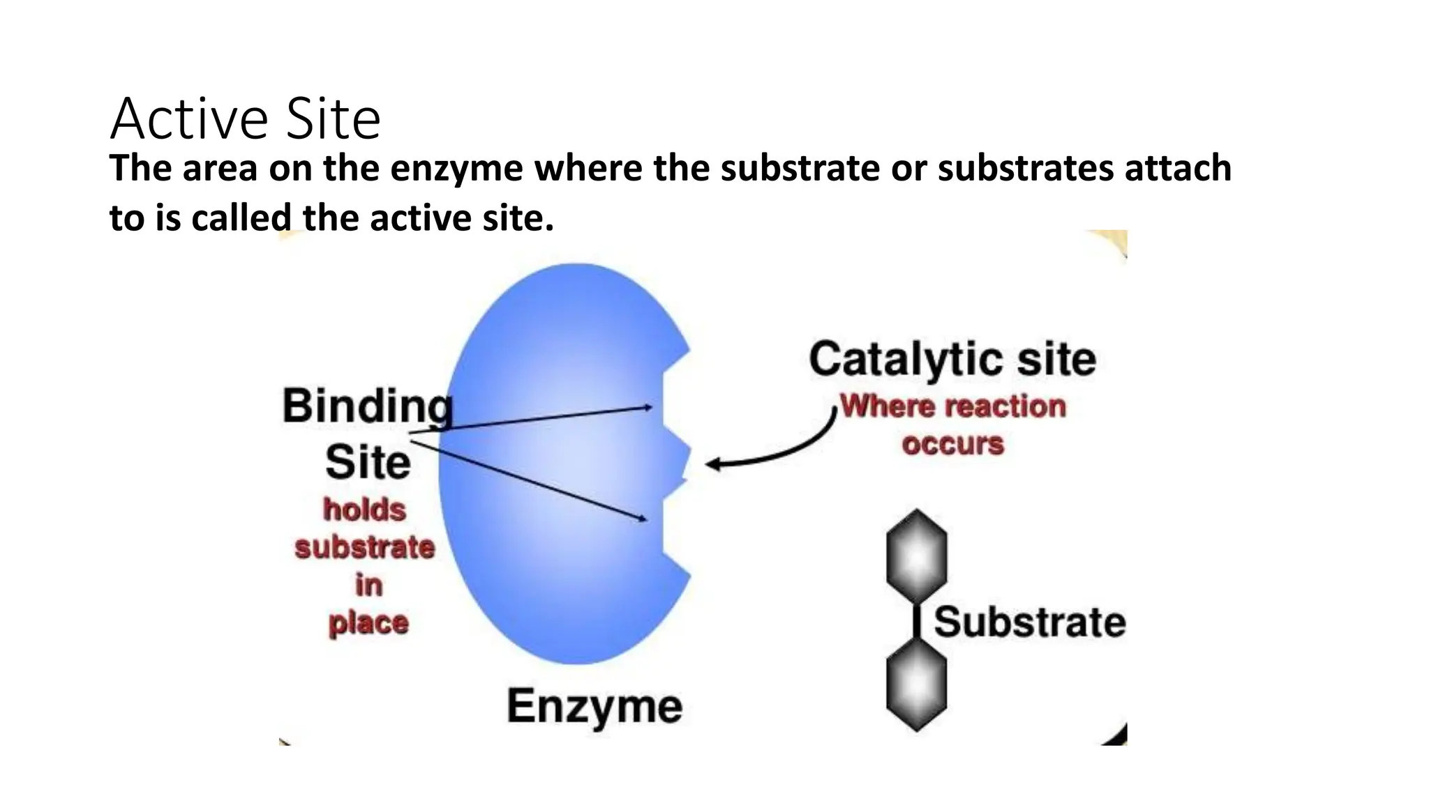 Different types of enzymes and its role and impact | PPT | Free Download