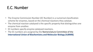 Different types of enzymes and its role and impact | PPT | Free Download