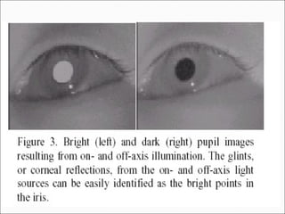 20922174-Blue-Eyes-Technology.pdf