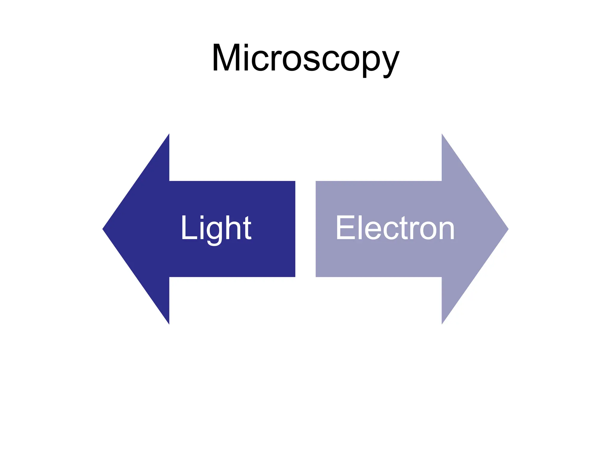Microscopy and staining techniques details | PPT