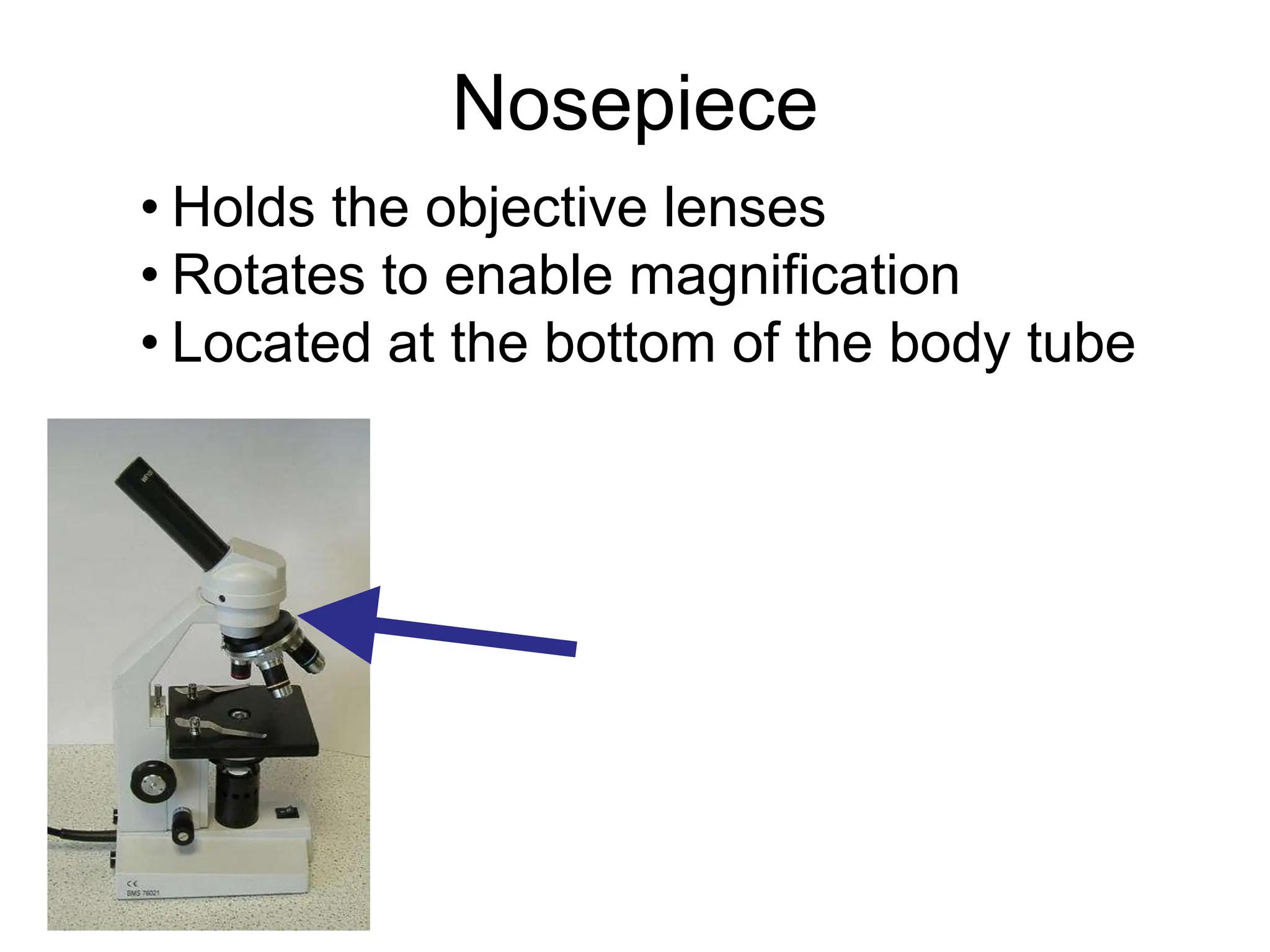 Microscopy and staining techniques details | PPT