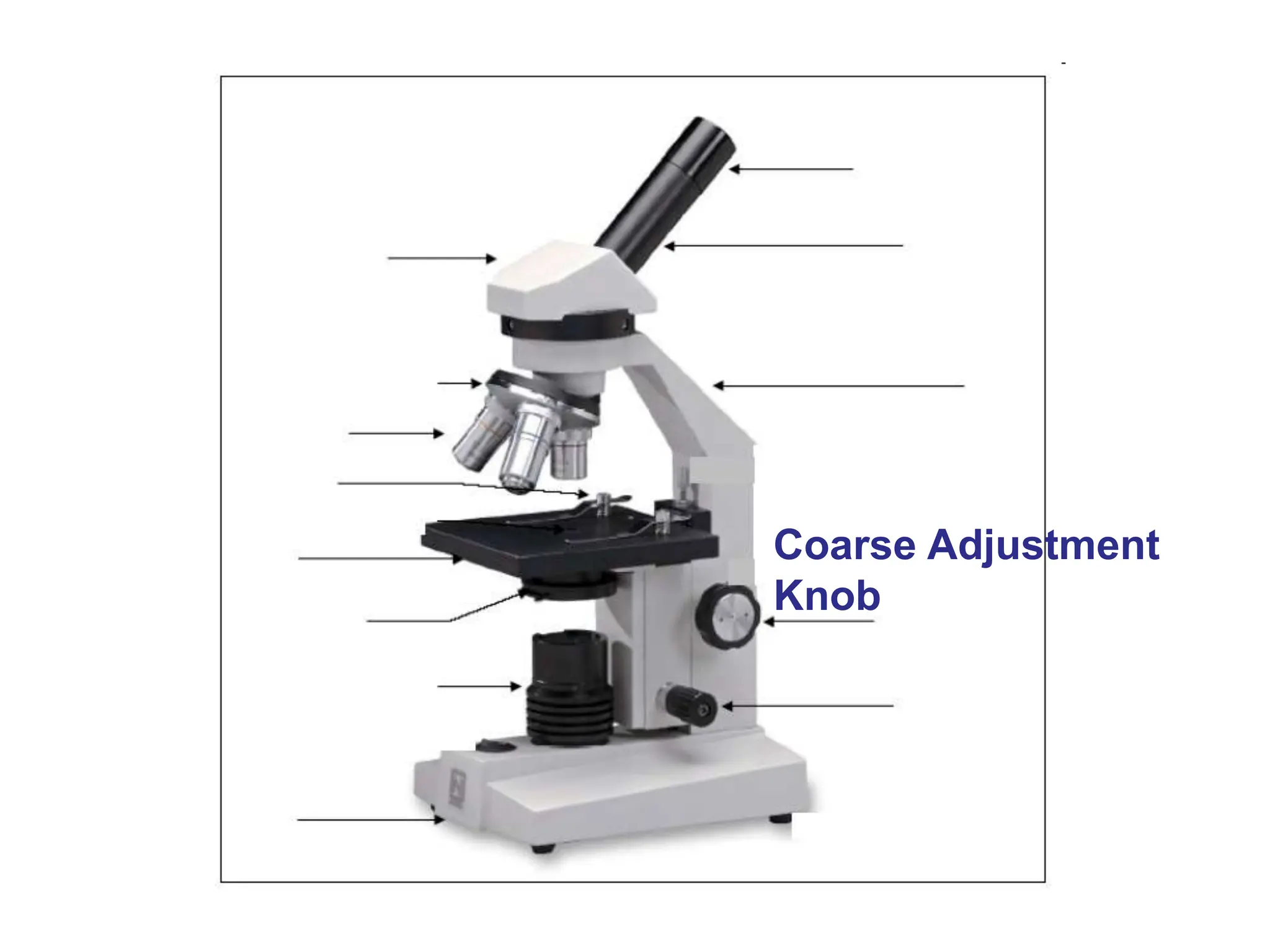 Microscopy and staining techniques details | PPT