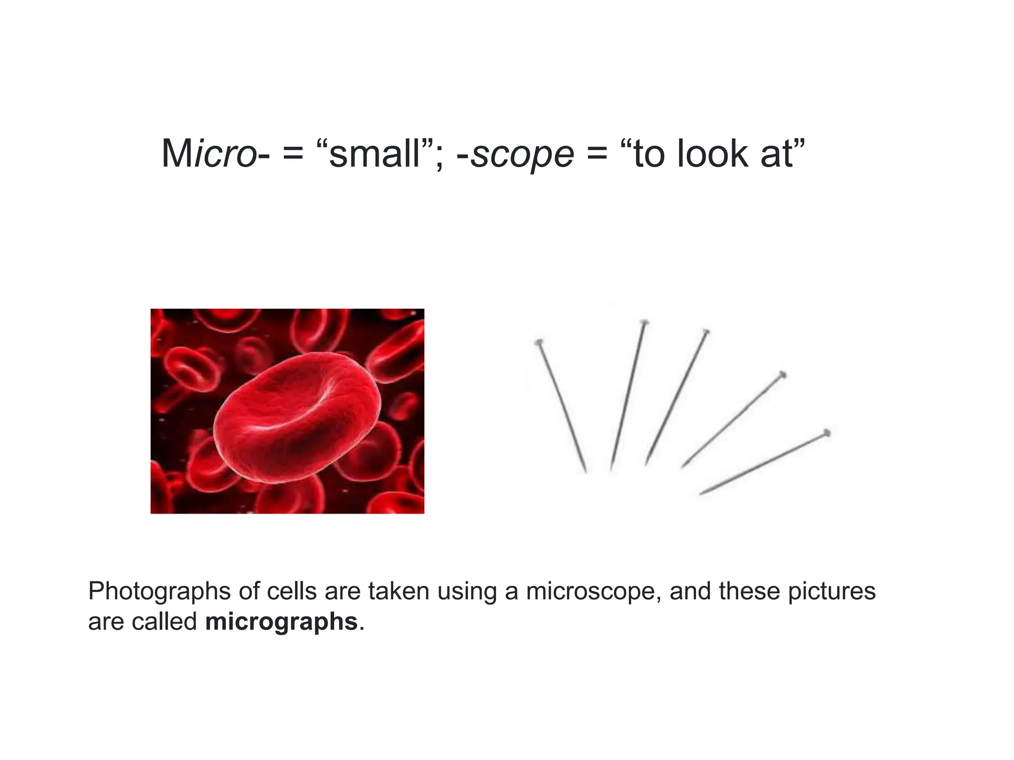 Microscopy and staining techniques details | PPT
