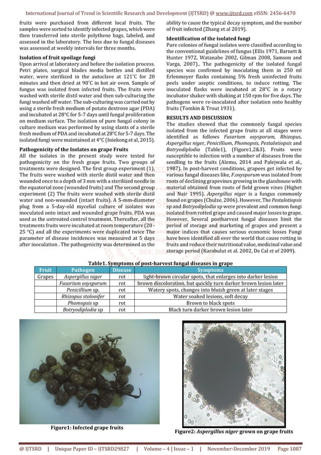 Isolation and Identification of Post-Harvest Fungal Pathogens of Spoilt ...