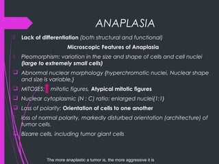 Tumor biology | PPT