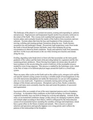 Patterns in a Changing Landscape | DOC