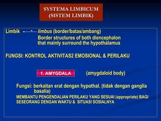 20_anatomisystema-limbicum-14-2-06-revisi.ppt