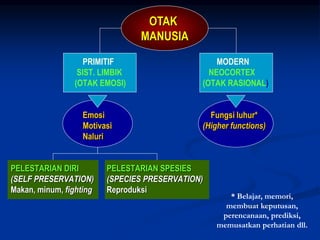 20_anatomisystema-limbicum-14-2-06-revisi.ppt