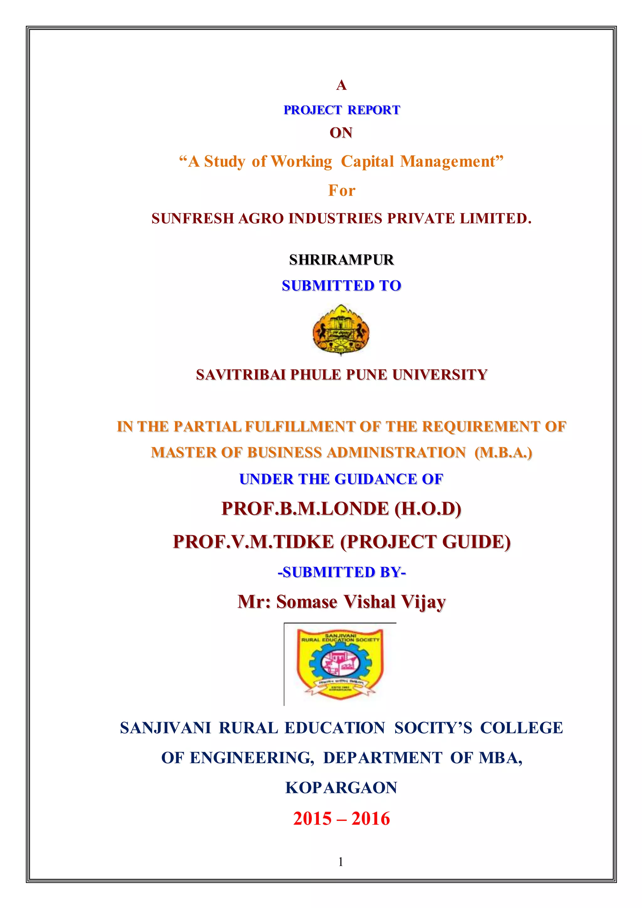Working Capital Project PMAI FInal - Copy | PDF