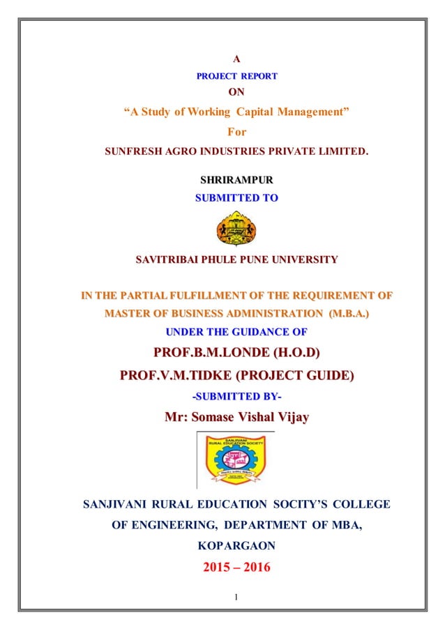 Working Capital Project PMAI FInal - Copy | PDF