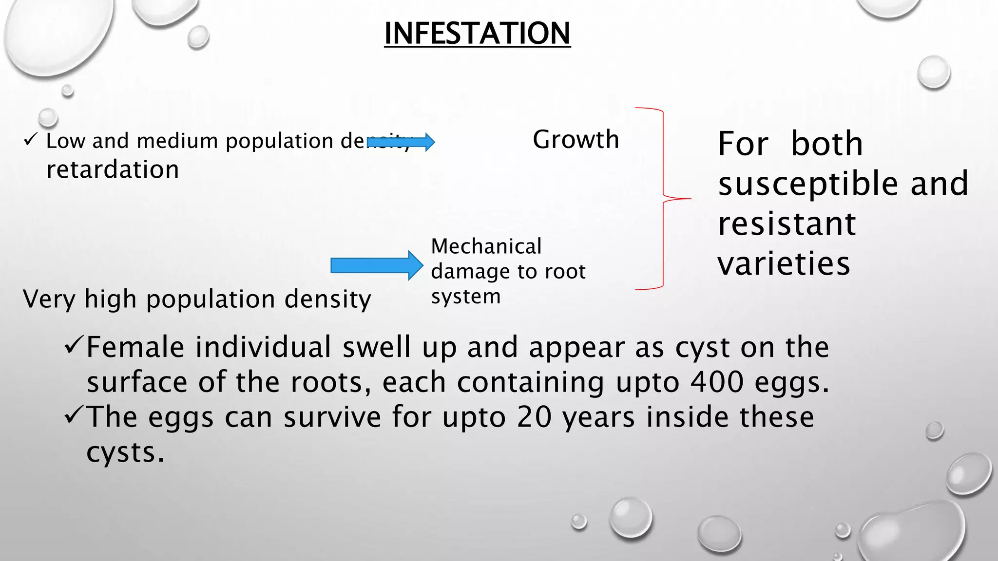 POTATO CYST NEMATODE | PPTX | Agriculture | Industries