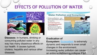 20CH1005_Water pollution, causes & effects.pptx