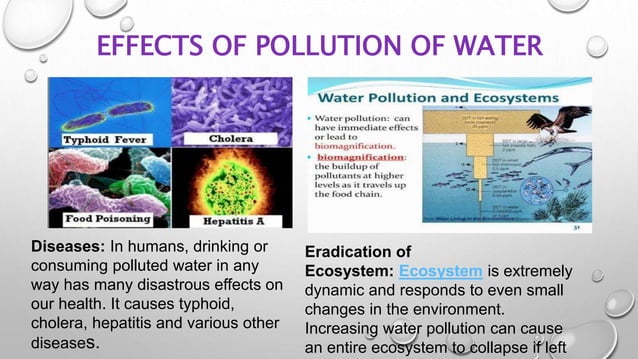 20CH1005_Water pollution, causes & effects.pptx