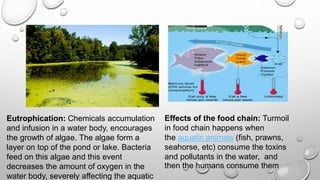 20CH1005_Water pollution, causes & effects.pptx
