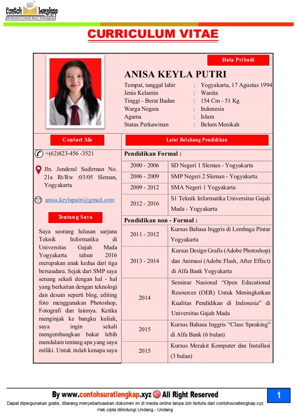 Contoh Cv Hrd 7 Contoh Cv Menarik Dan Kreatif Agar Di