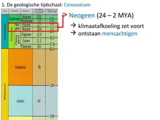 20 de geologische tijdschaal | PPS