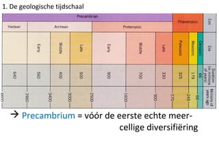 20 de geologische tijdschaal | PPS