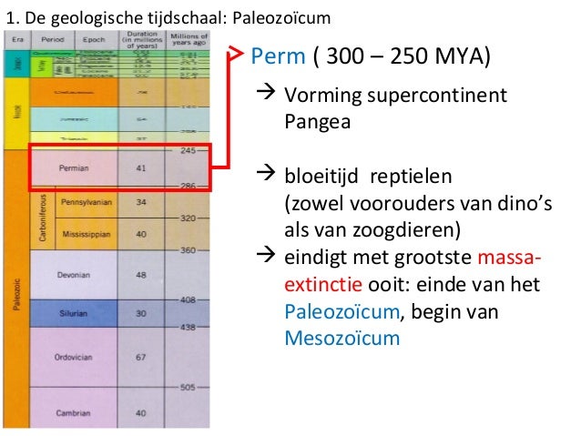 20 de geologische tijdschaal
