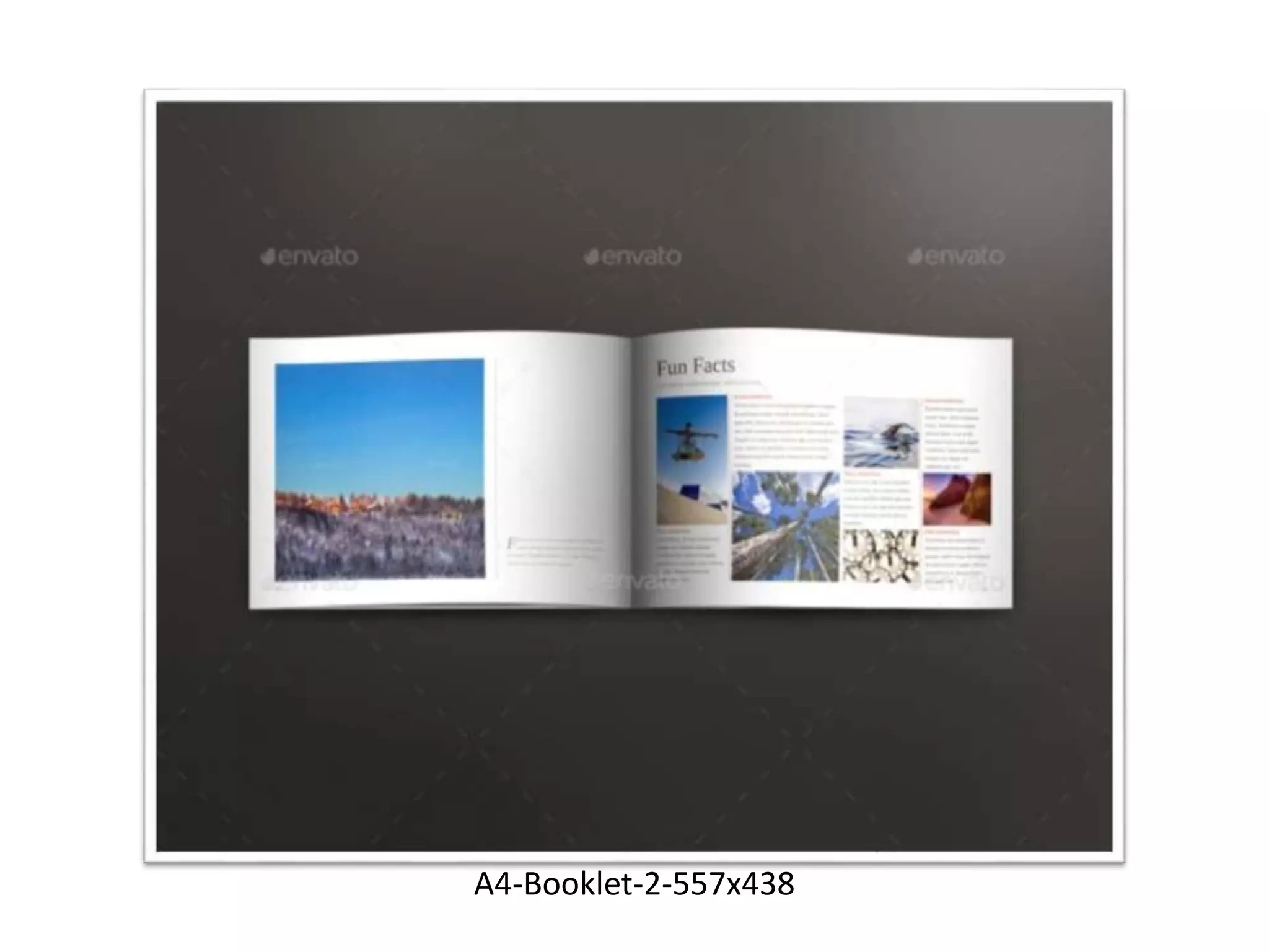 20+ Desain Booklet Template Download | PPTX