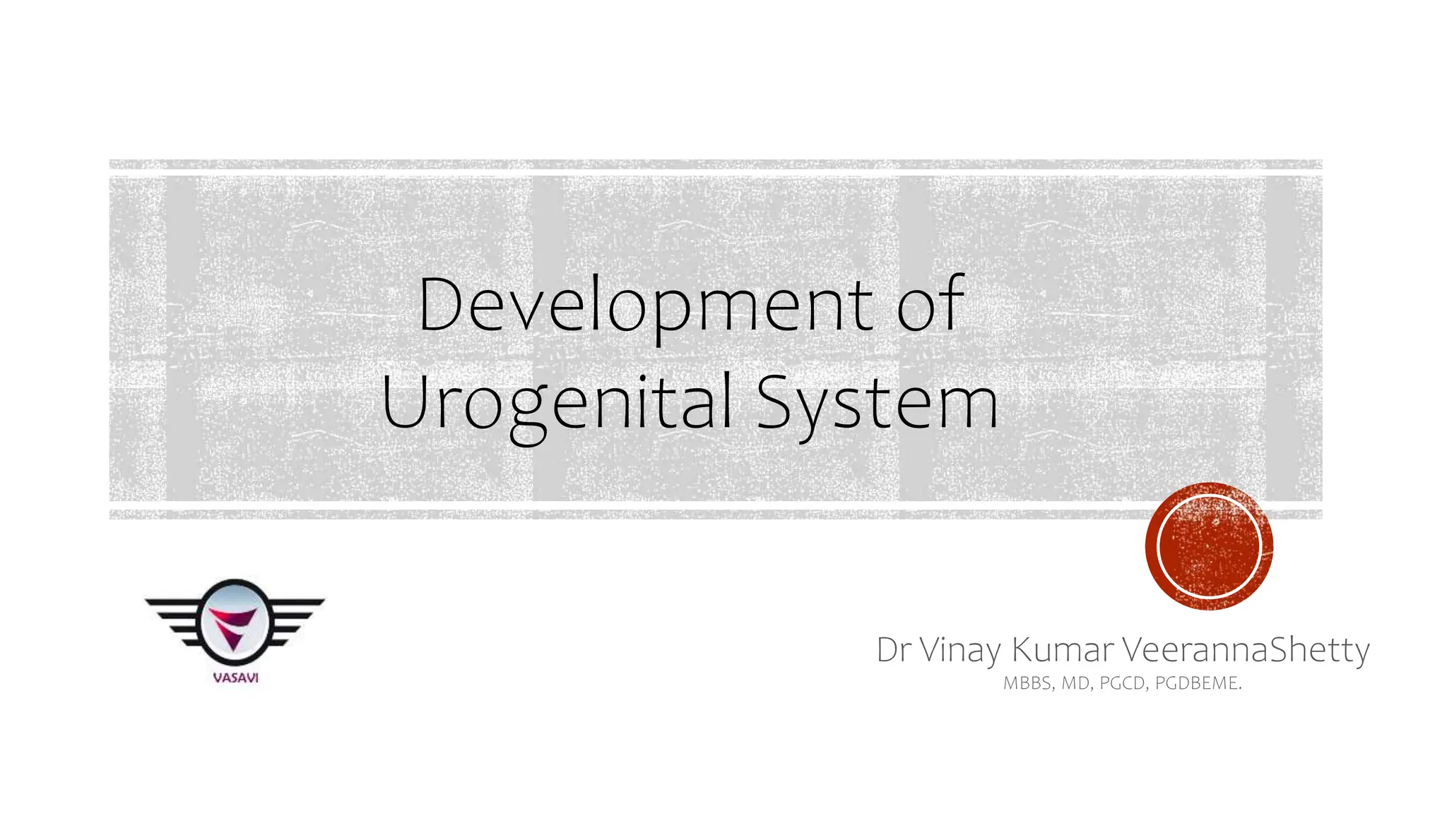 20 DEVELOPMENT OF UROGENITAL SYSTEM.pptx | Reproductive Health ...