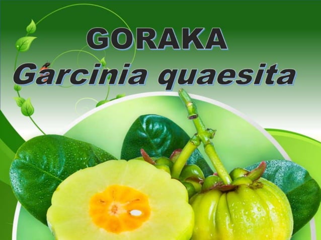 Goraka (GARCINIA CAMBOGIA) | PPT