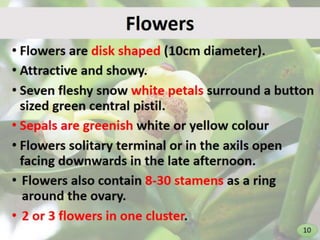 Goraka (GARCINIA CAMBOGIA) | PPT