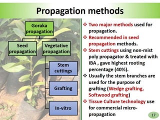 Goraka (GARCINIA CAMBOGIA) | PPT
