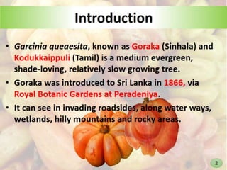 Goraka (GARCINIA CAMBOGIA) | PPT