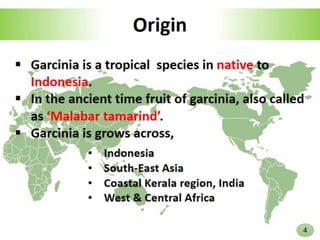 Goraka (GARCINIA CAMBOGIA) | PPT