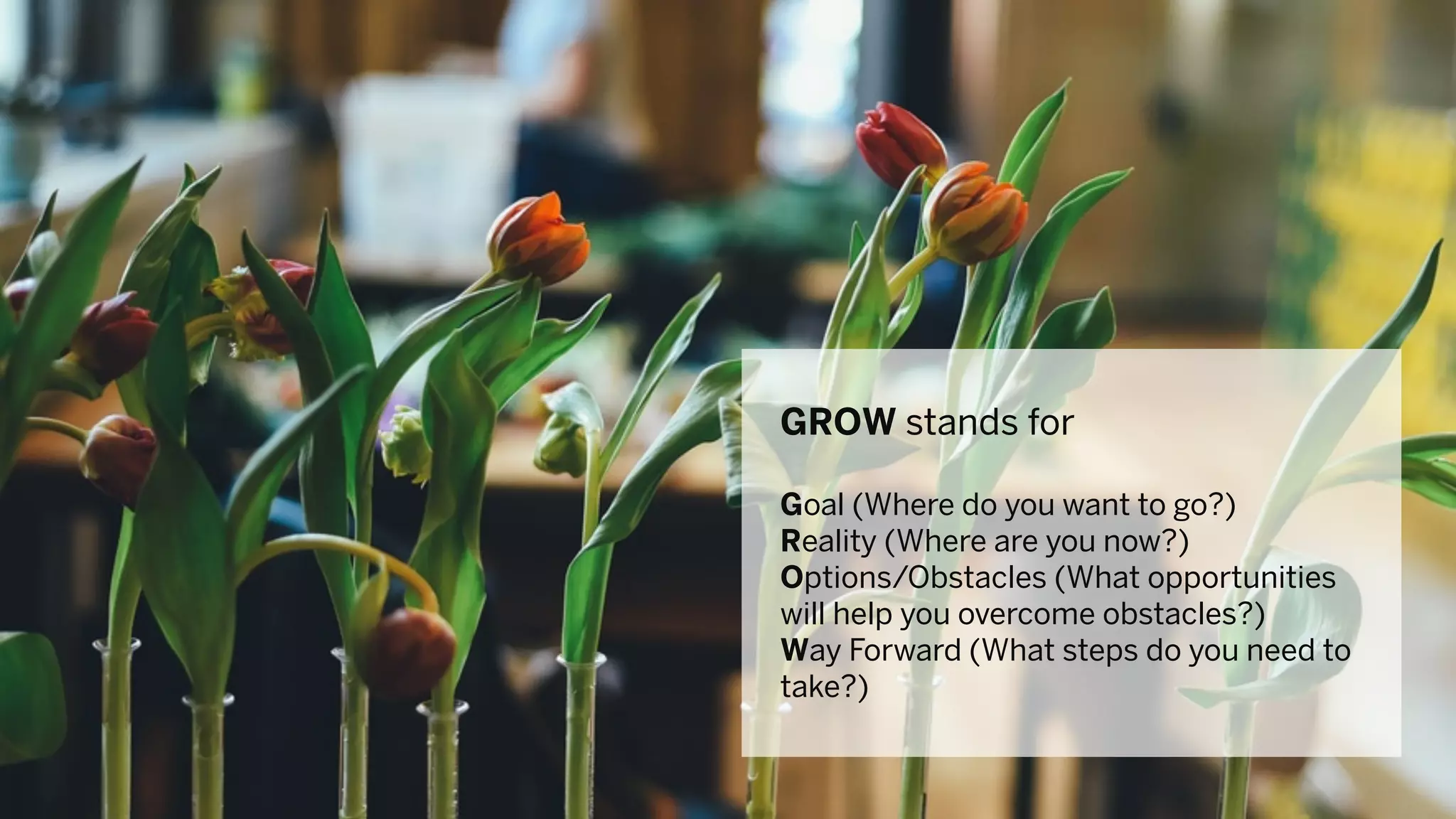 Mentee Workshop Presentation | PDF