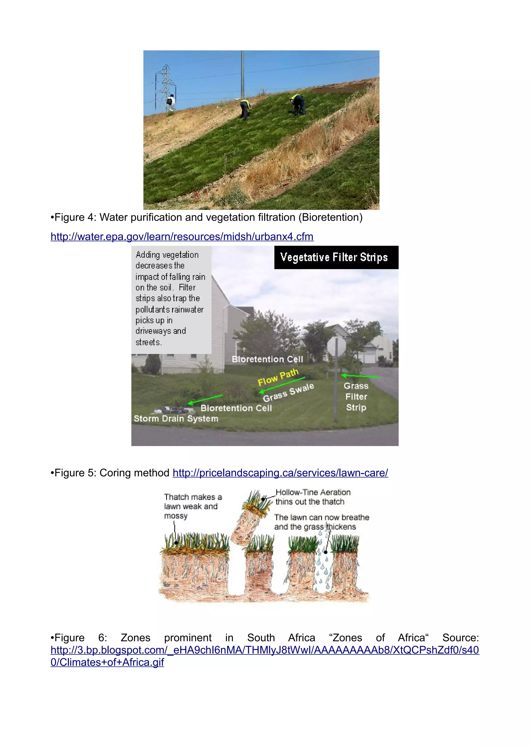 Turf Culture 1 | ODT