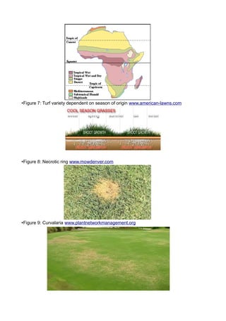 Turf Culture 1 | ODT