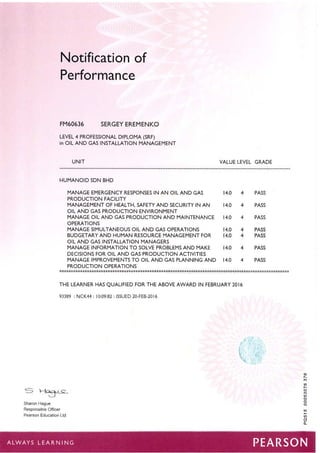 SERGEY EREMENKO | PDF