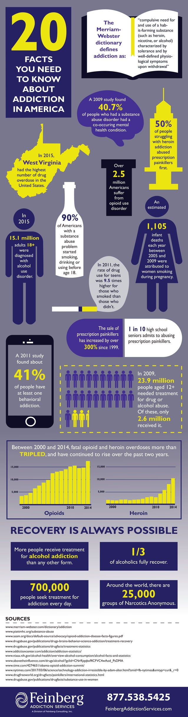 20 Facts About Addiction | PDF