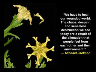 20 Favorite Quotes On PEOPLE | PPT