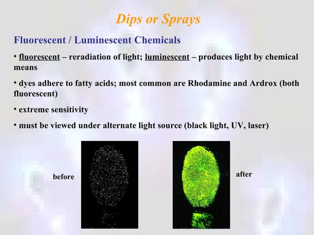 20 f latent prints (student version) | PPT