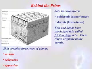 20 f latent prints (student version) | PPT | Skin Care | Beauty