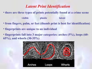 20 f latent prints (student version) | PPT | Skin Care | Beauty