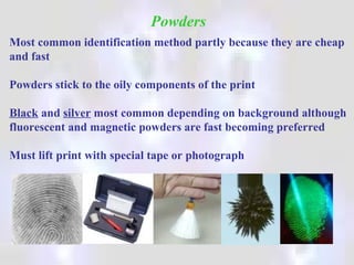 20 f latent prints (student version) | PPT