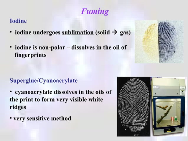 20 f latent prints (student version) | PPT