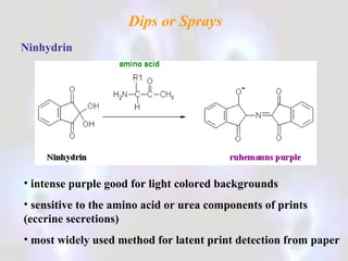 20 f latent prints (student version) | PPT | Skin Care | Beauty