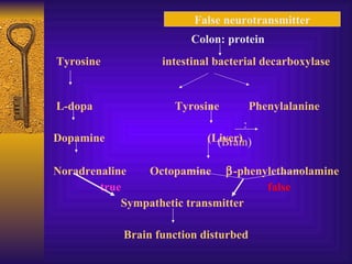 20 hepatic enchephalopathy | PPT