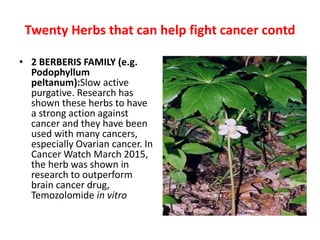 20 herbs that can help fight cancer By Allah Dad Khan | PPT